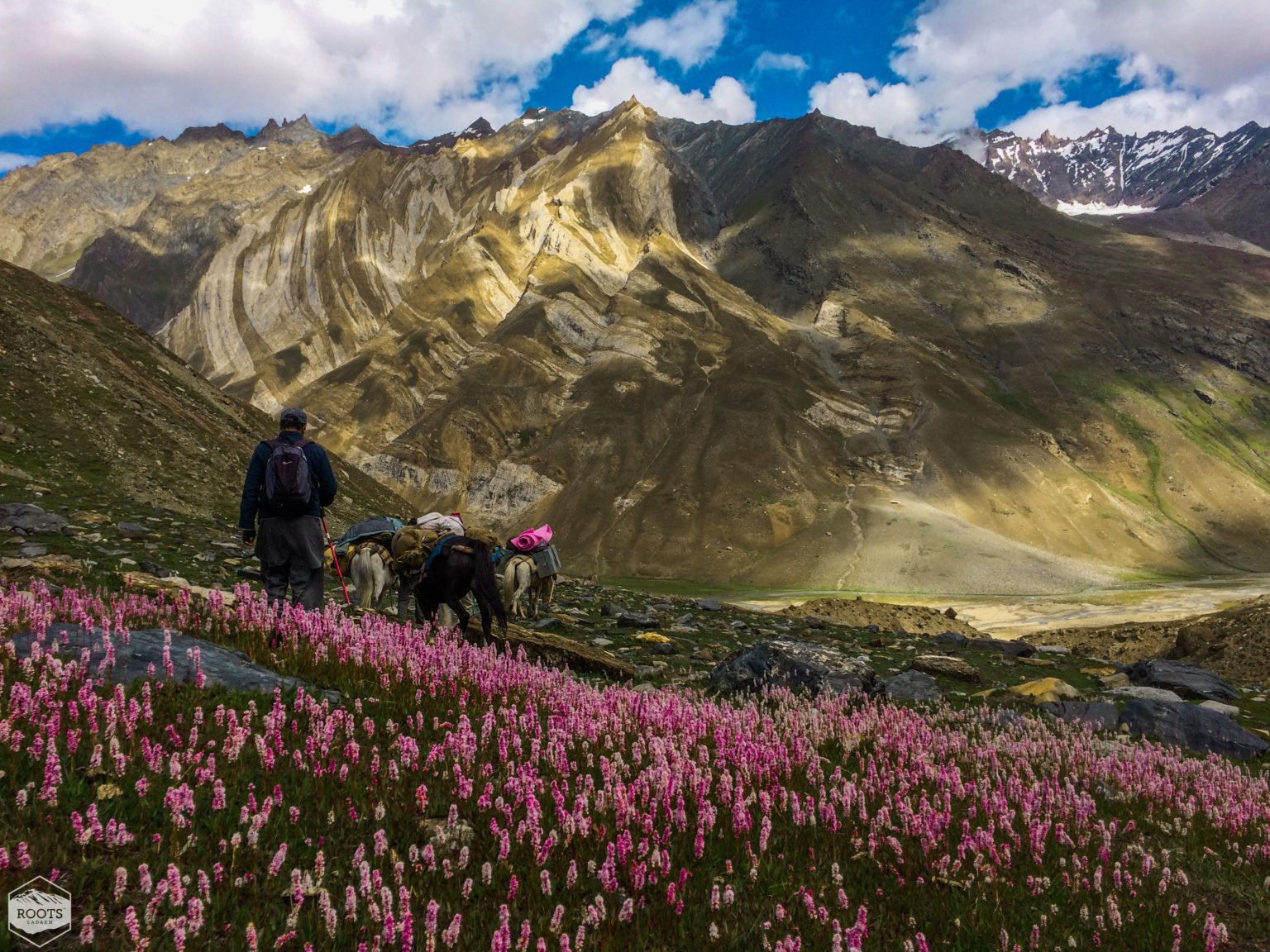 The Great Trails – Countryside Adventure Holidays